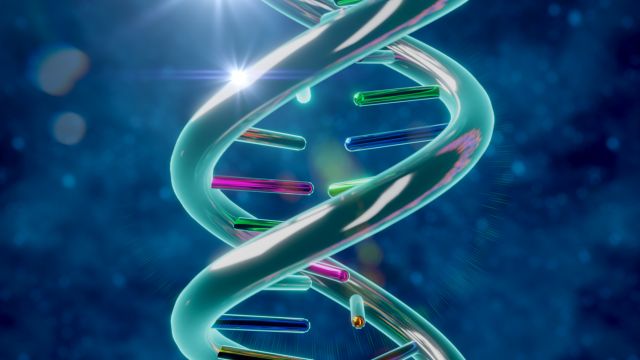 Mi az a valinémia? - Kirsche