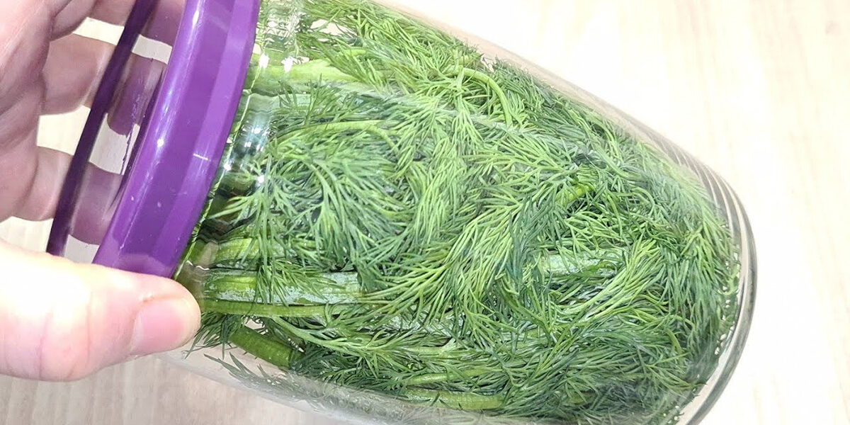 Alulértékelt "BURINA" a szlovák kertekből. Ha rögtön egy közönséges ...