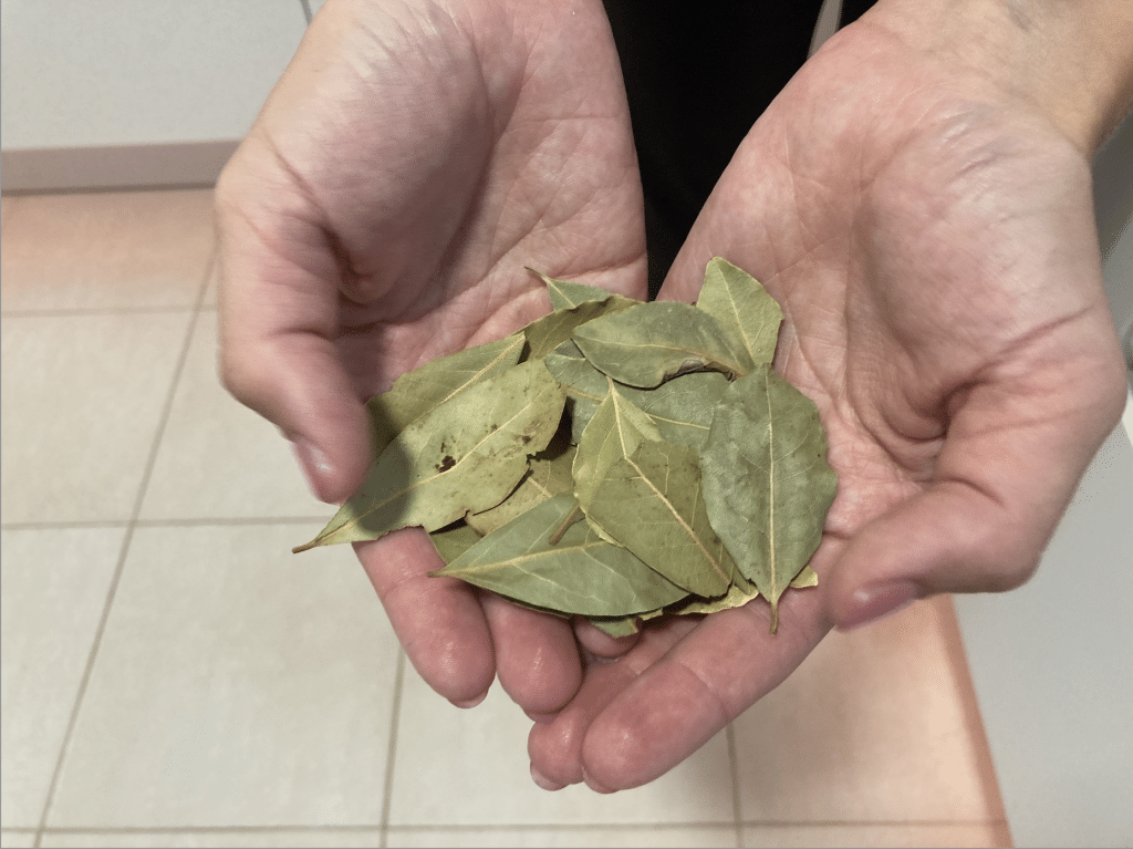 Ez az oka annak, hogy egyesek babérlevelet tesznek a cipőjükbe: Tanuld ... Ez az oka annak, hogy egyesek babérlevelet tesznek a cipőjükbe: Tanuld ...